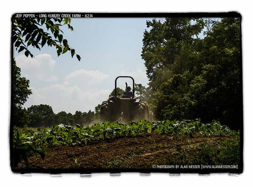 Growing Potatoes – Barefoot Farmer